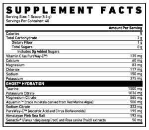 Ghost Hydration 40 Serves